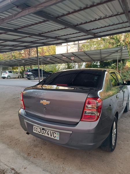 Cobalt LTZ 4 POZ 2020