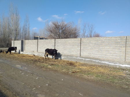 Жомбой тумани,Газира кишлогида участок ер сотилади.11 соток.