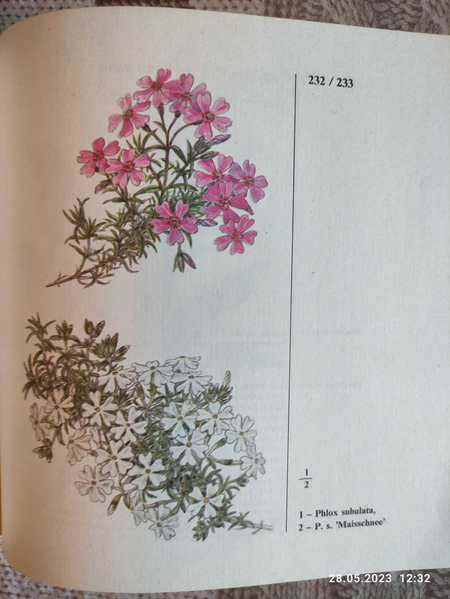 Ценная книга: 
