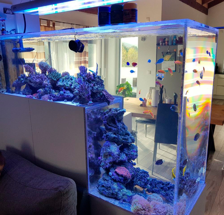 Akvarium tozalash xizmati / Чистка аквариума