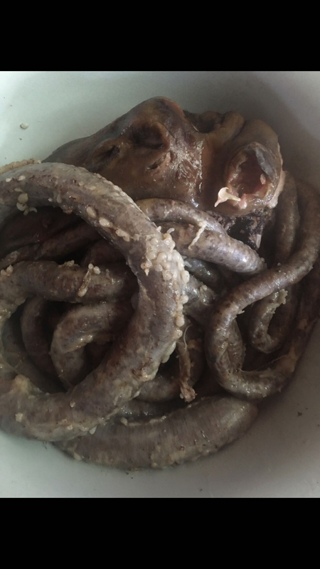 Kalla-pocha, hasip va rulet pishirib berish xizmati. Halal Servis.