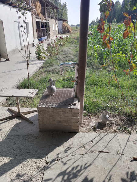 Срочно продается участок!