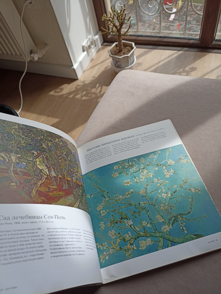 Большая книга про Ван Гога в картинках
