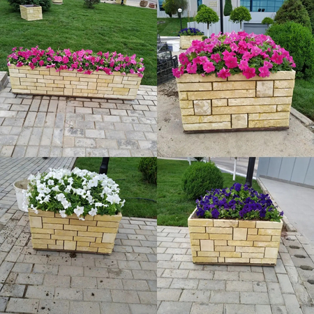 Коллекция 