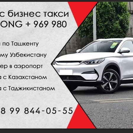 Поездки в горы и по Узбекистану.