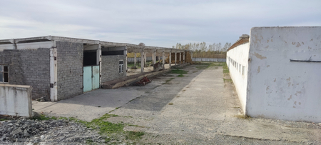 Ferma /mol sigir ferma/Baliqxona