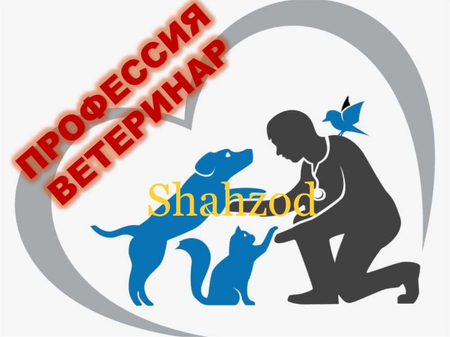 Ветеринар универсал