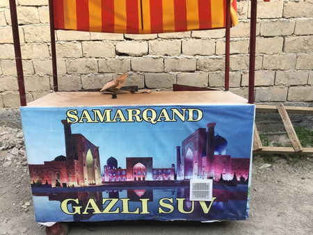 Gazvada aparad gazli suv