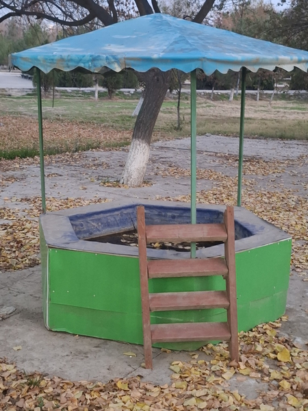 Рыбалка для детей