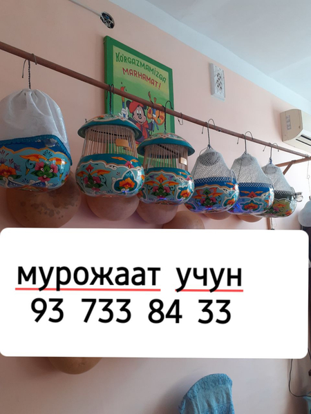 Тўрқовоқ беданага табий қовоқдан