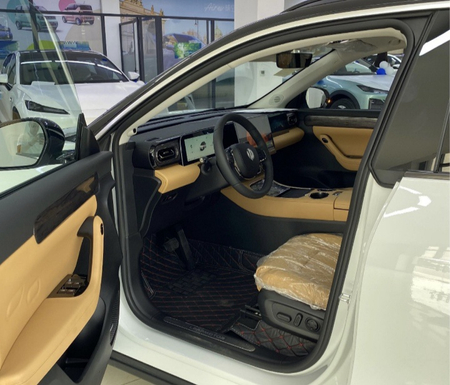 Leapmotor C11 300km gibrid