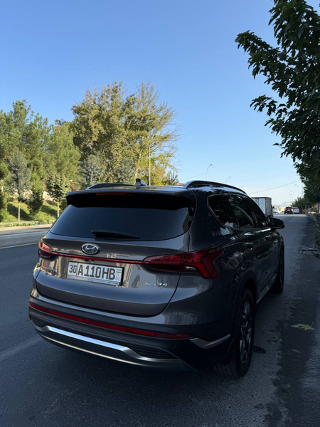 Hyundai santafe 2022