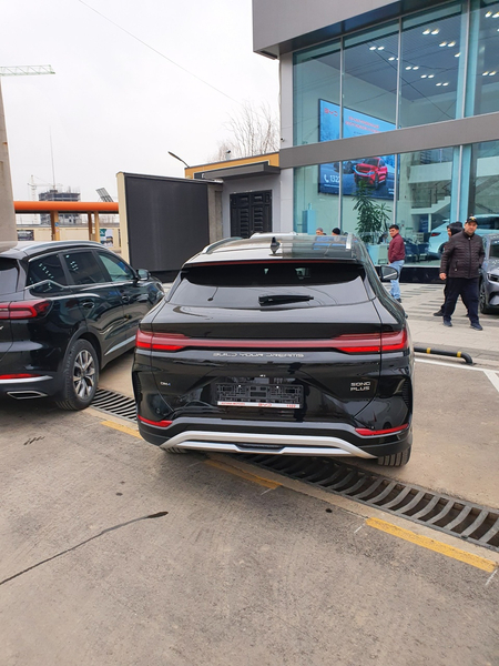 BYD чемпион гибрид 2024.