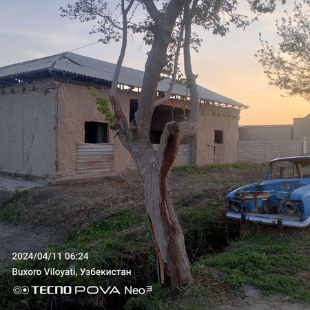 Uchastka, hovli, uy 12 sotix