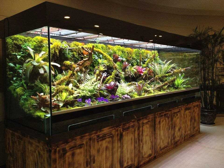 Аквариум, аквариумы на заказ, изготовление аквариумов, akvarium