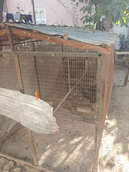 Katak sotiladi 2.50 ×1.20