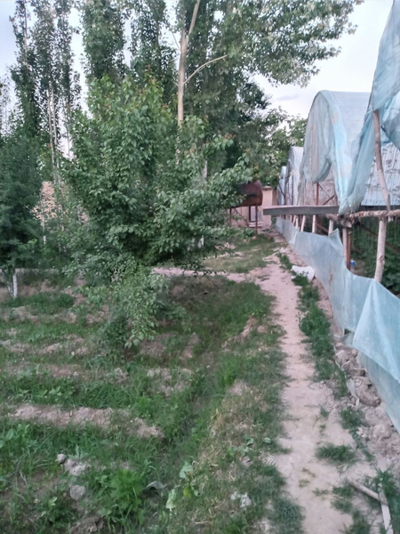 Tepletsiya sotiladi