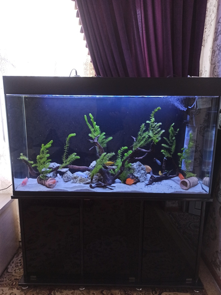 Akvarium sotiladi