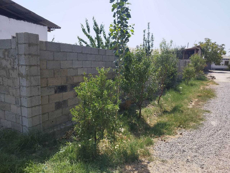 6 sotixli chek sotiladi