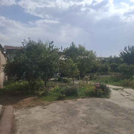 Aniq olish niyati borla iloji bo'lsa telefon qisin