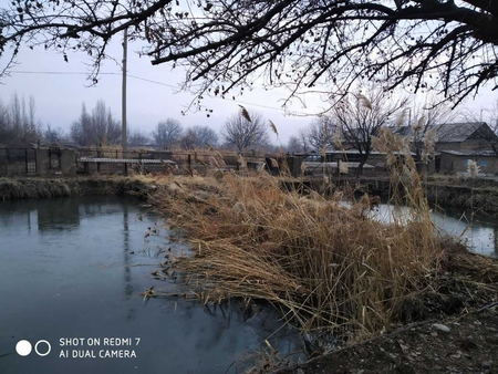 Dacha sotiladi 2gektar