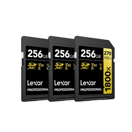SD Lexar 256GB GOLD 280mb/s professional