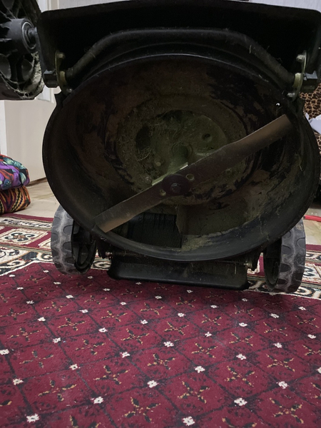 Gazon kasilka sotiladi