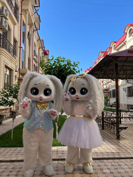 Гигант Медведь Надувные Медведь