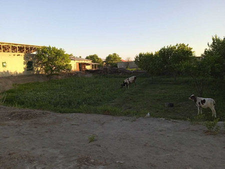21 Sotixli hovli sotiladi
