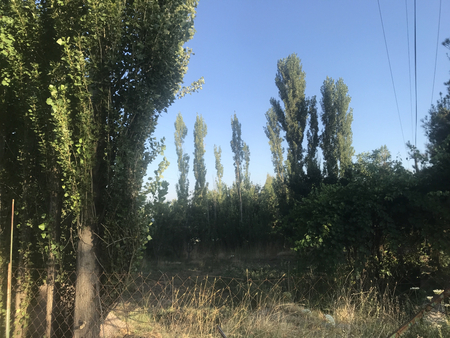 Участка 25 соток