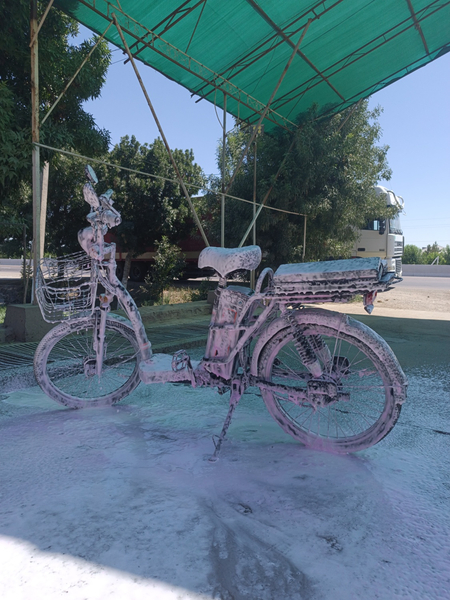Феникс veloseped