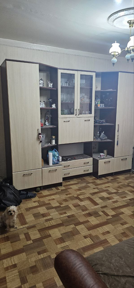 3х ком Спутник 5 д 12 к 9 Евро ремонт под ключ огород въезд 45.000 у.е
