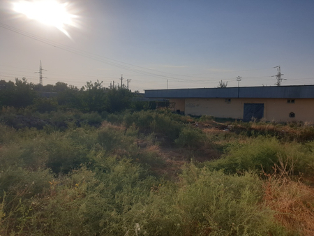 Sirdaryo shaharda 60 sotxli ferma sotiladi