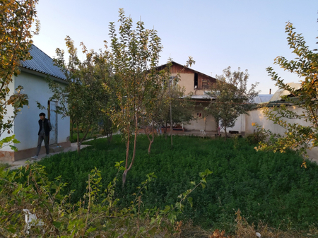 Дача дом земля участок dacha uy xovli hovli