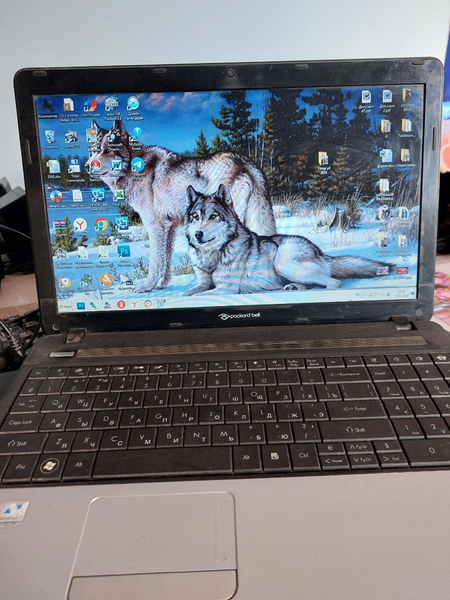 Packard bell Noutbuk