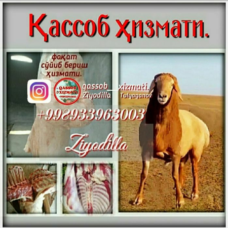 Qassob  Қассоб кассоб Сўйиб бериш ҳизмати.