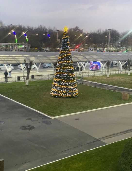 Новогодняя Ёлка 5м.10м.15м,20м, 25м Гигант. Янги йил арчаси Гигантбор