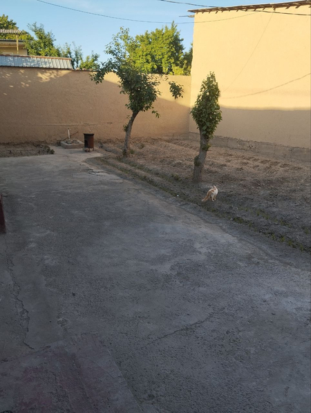 Sergelida Fayz kafe orqasi mahhalada