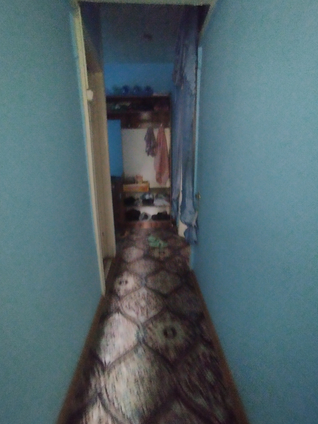 Уй ижорага берилади