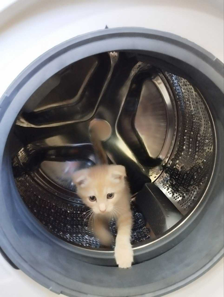 Vi esho ne znayte kak sdelat syurpriz svoim detyam?