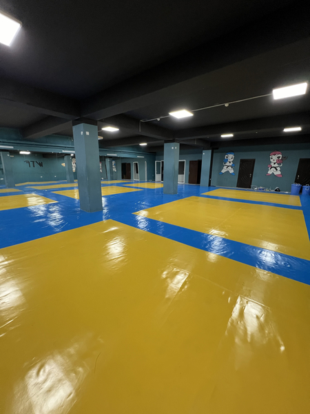 Sport , aktagon octagon MAT борцовский КОВЕР  Tatami
