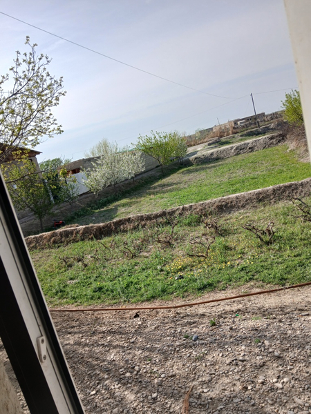 Buxoro v romitan tumanida 8sotux uchaska sotiladi tez VA Arzona