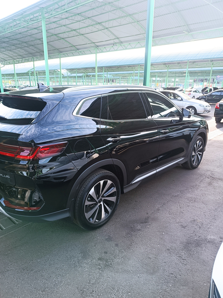 Чемпион фулл пазитса BYD