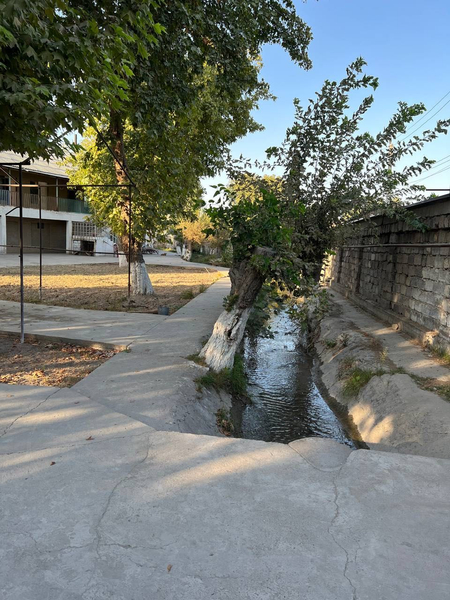Commercial property near Tashkent city
