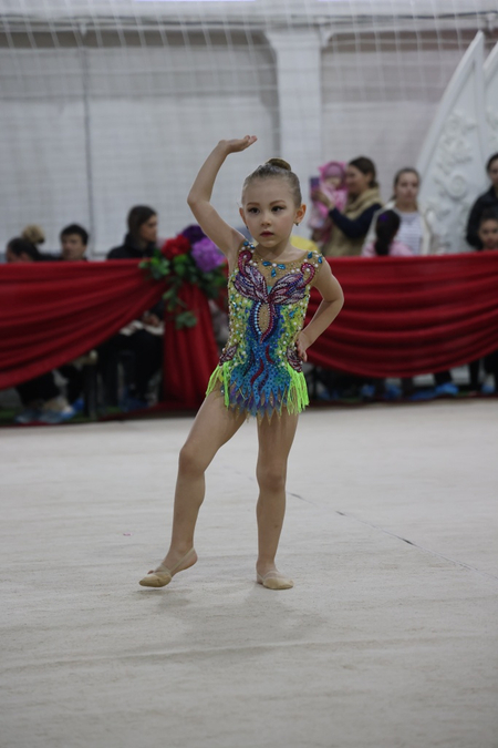 Купальник для художественной гимнастики