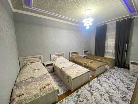 Dacha shox / дача Шох