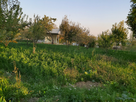 Дача дом земля участок dacha uy xovli hovli