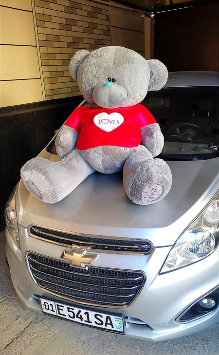 Teddy va boshqa yumshoq oʻyinchoqlar