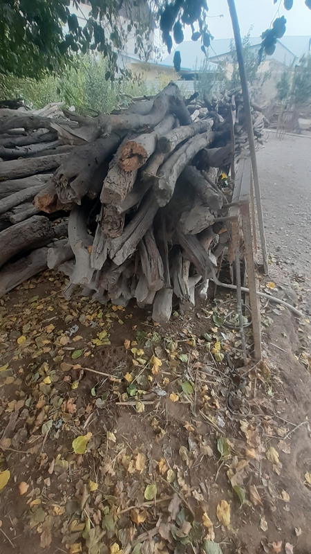 Курук отин сотилади
