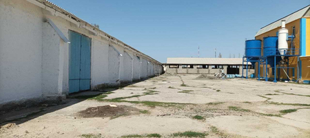 Мелькомбинат 60 тонн в сутки